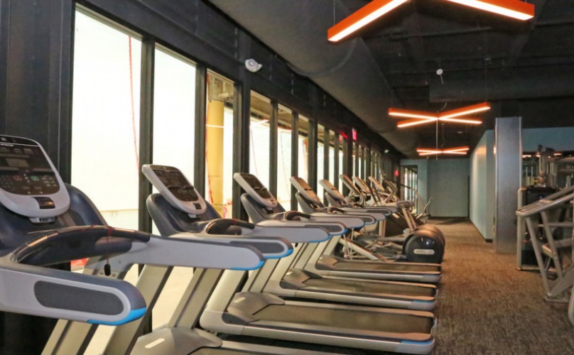 Pet-friendly apartments in Milwaukee, WI | Plankinton Clover